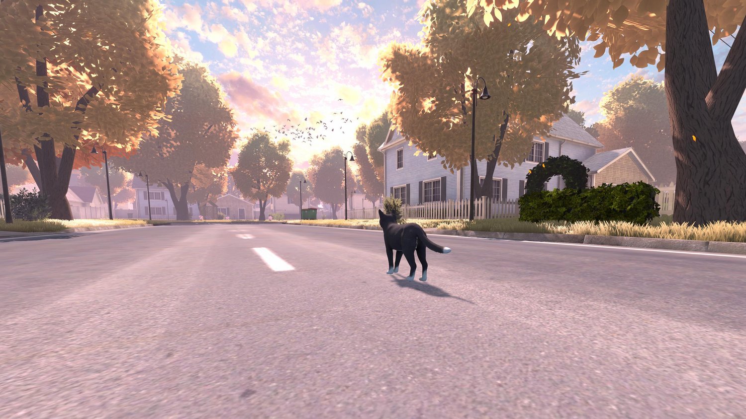 Copycat - A poignant cat-adventure about loneliness and belonging