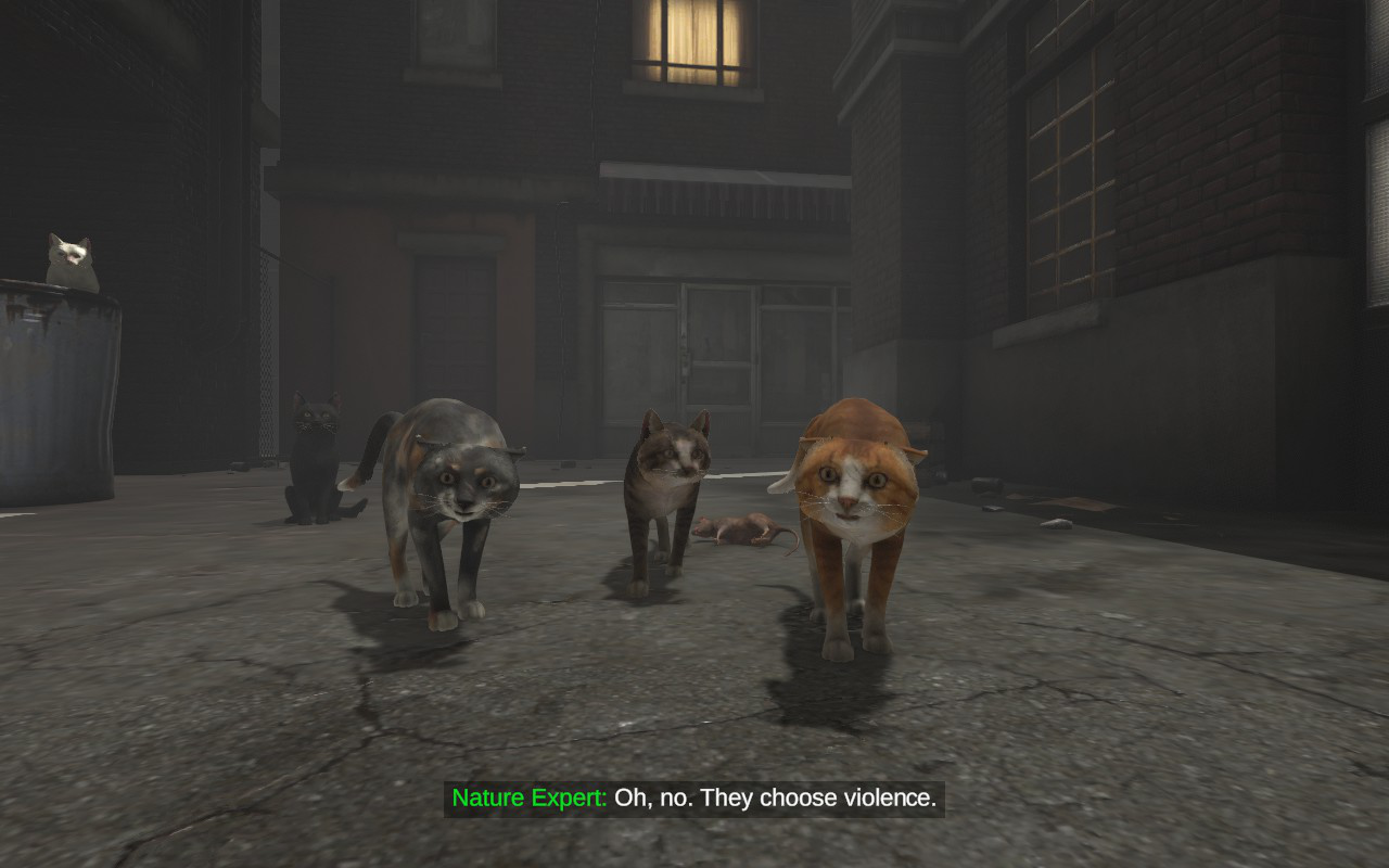 Copycat Review – Don't Call It Just a Cat Game, It's So Much More