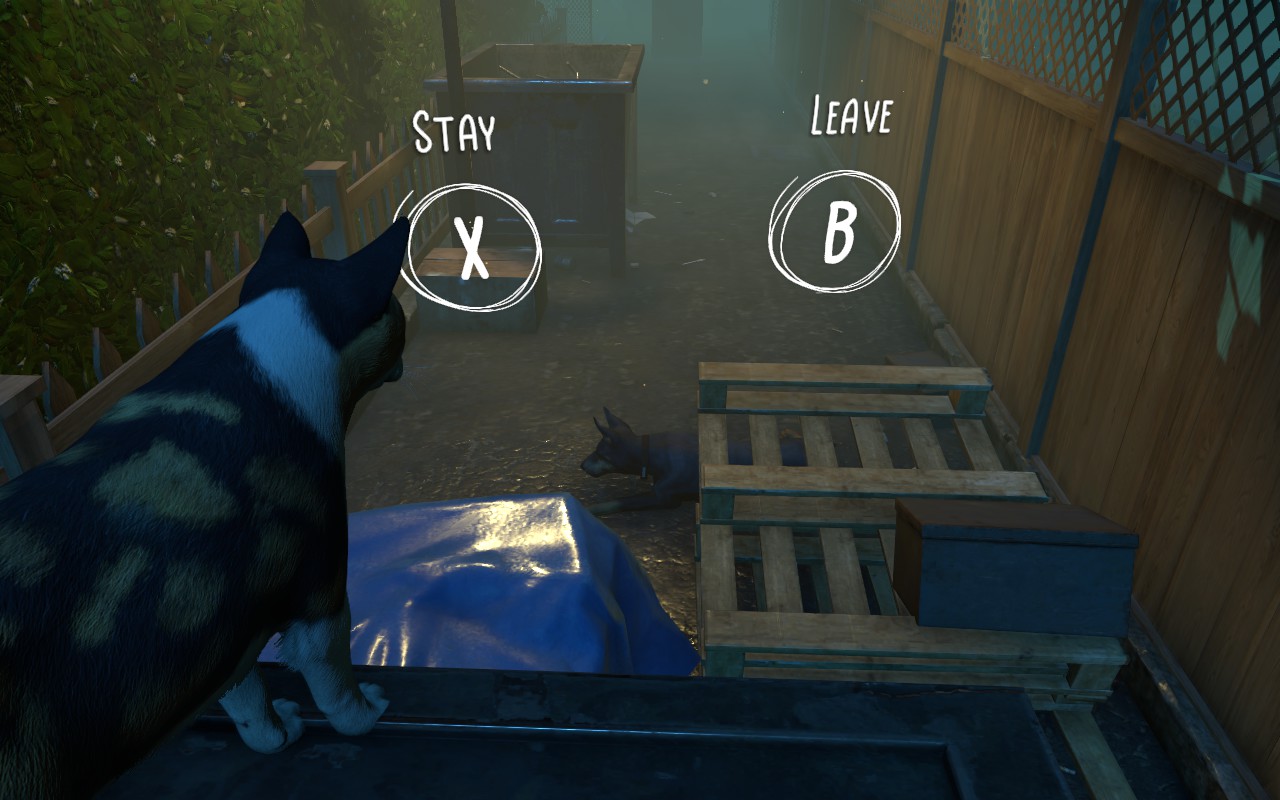Copycat Review – Don't Call It Just a Cat Game, It's So Much More