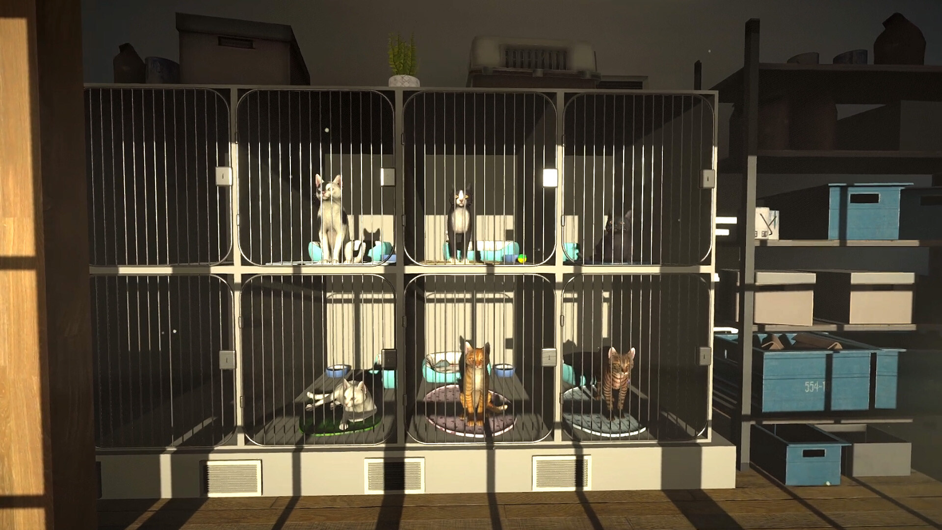 Copycat: Interview with creators Samantha Cable & Kostia Liakhov