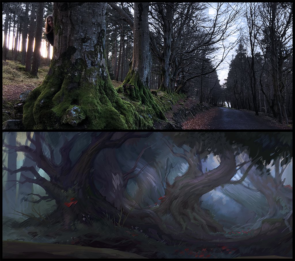 MANDRAGORA: The Dark Night of Entropy