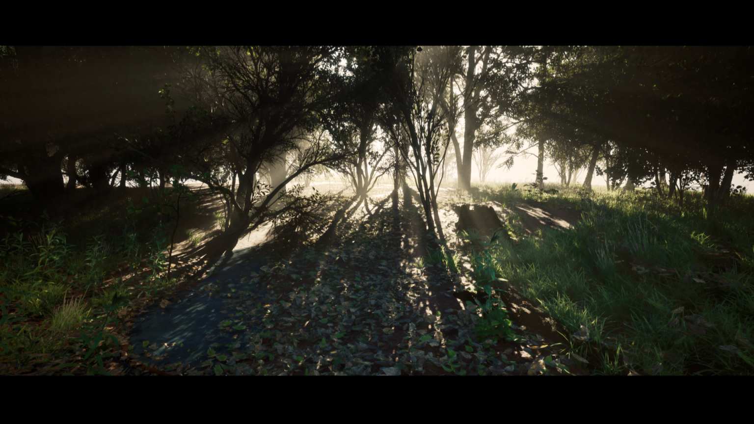 Nietzsche’s Shadow and the Existential Journey