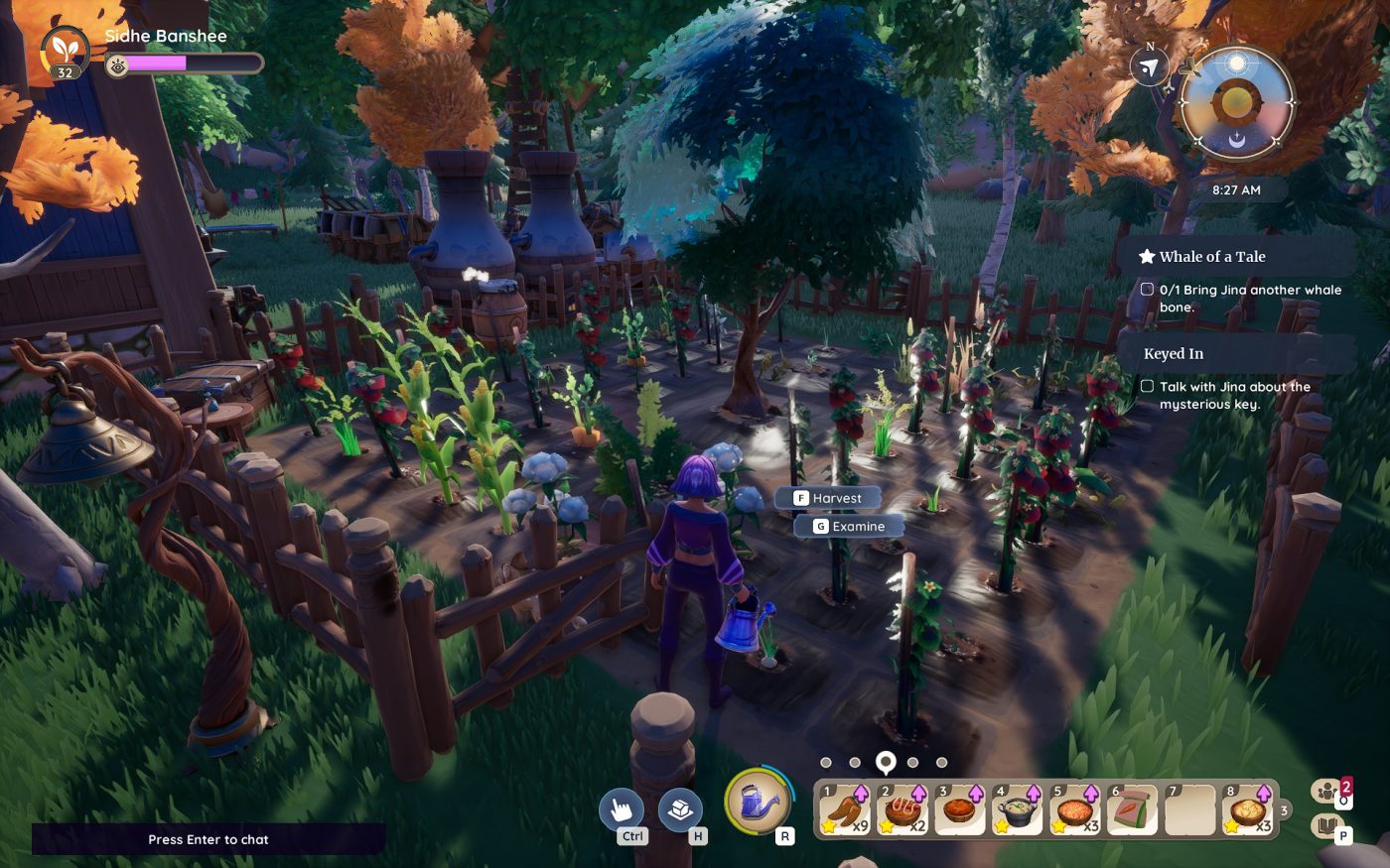 Palia: review of the new MMO