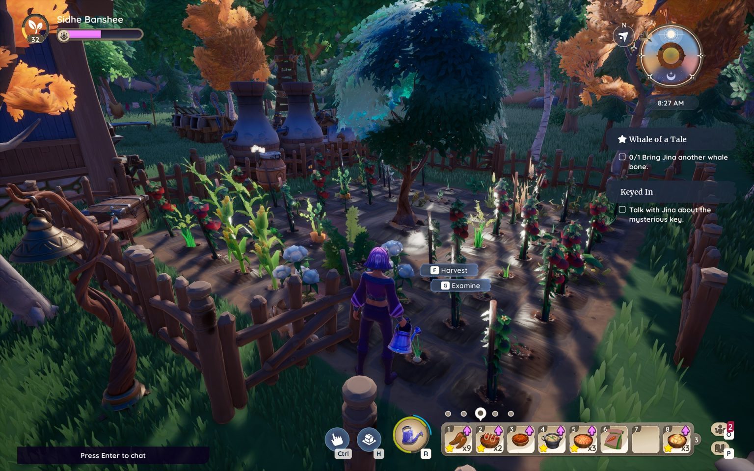 Palia: review of the new MMO