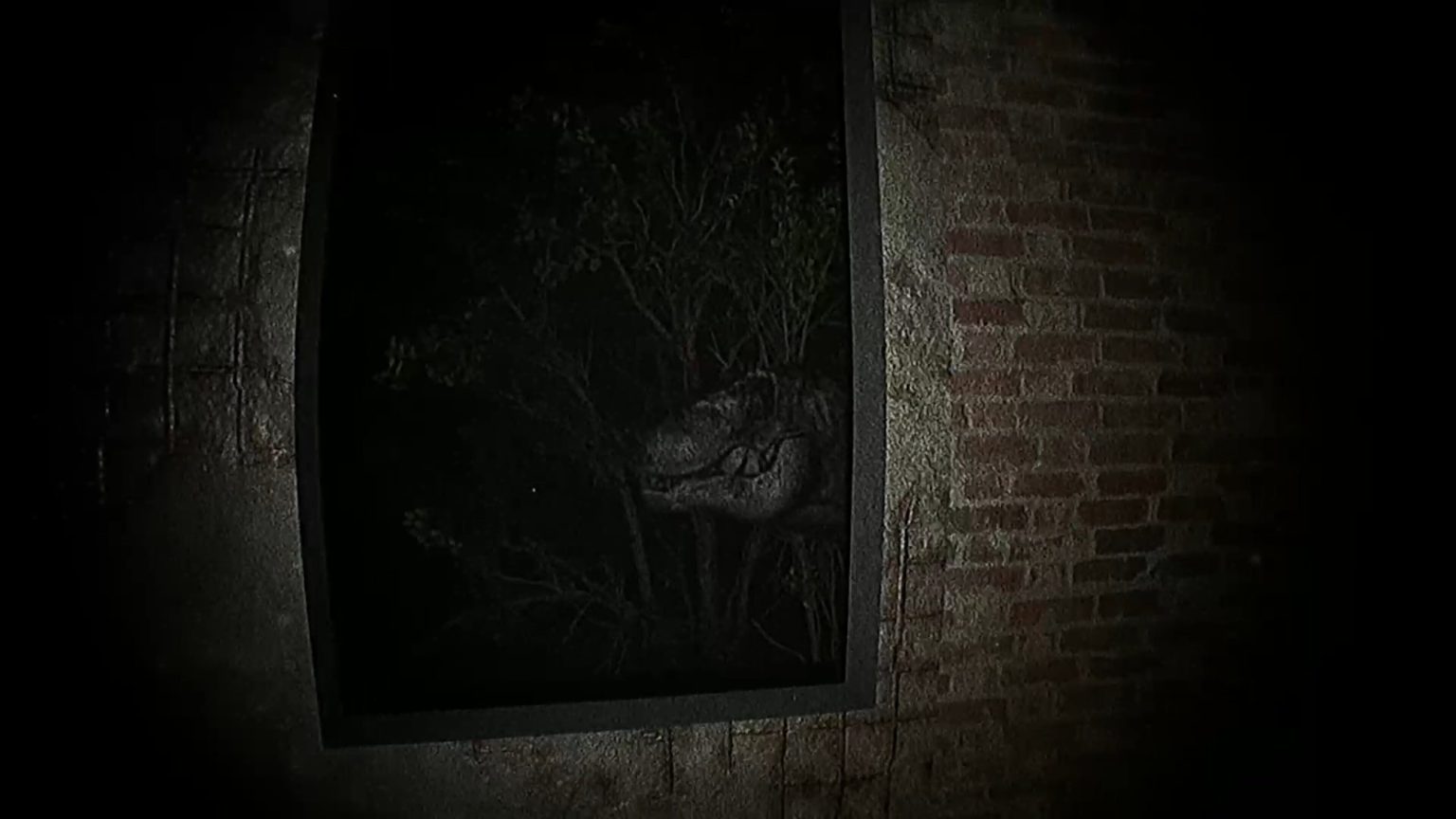 Unknown Tapes - A dinosaur-based analog horror video game